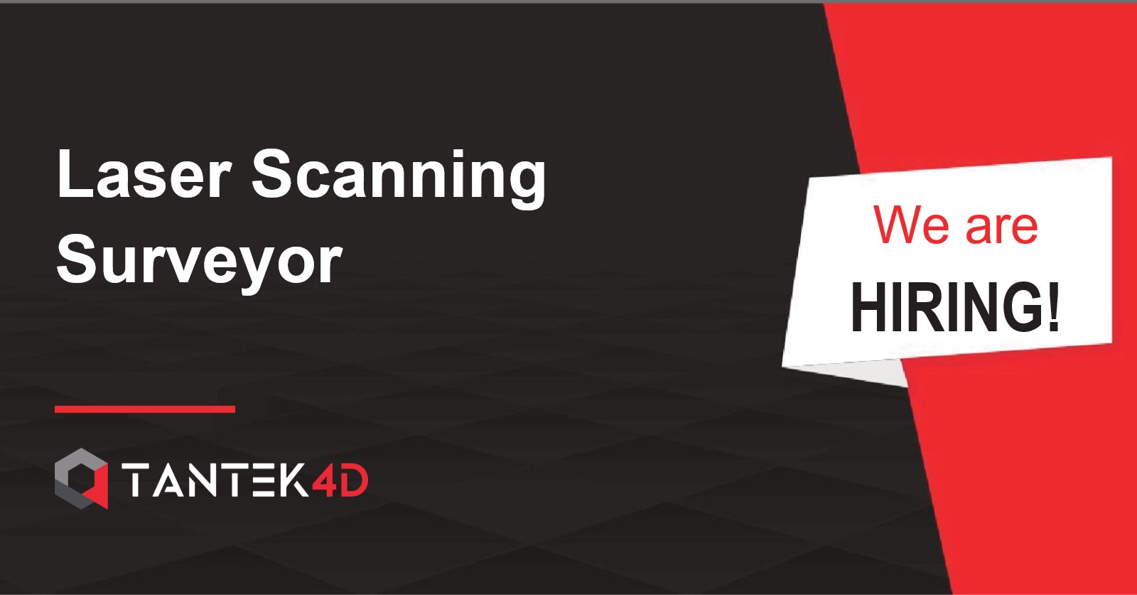 Job Vacancy: Laser Scanning Surveyor Sligo | Tantek 4D